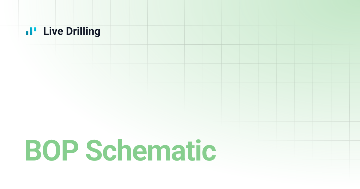 BOP Schematic | Live Drilling